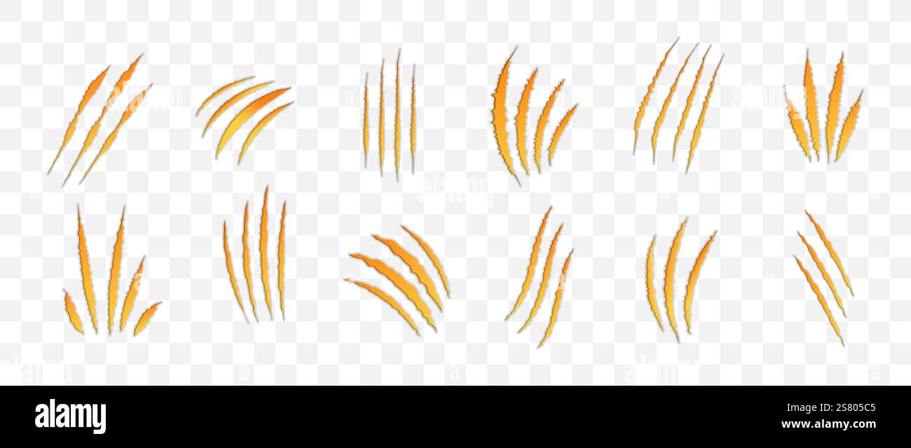 Cat scratch. Set of yellow bloody animal claw marks isolated on ...