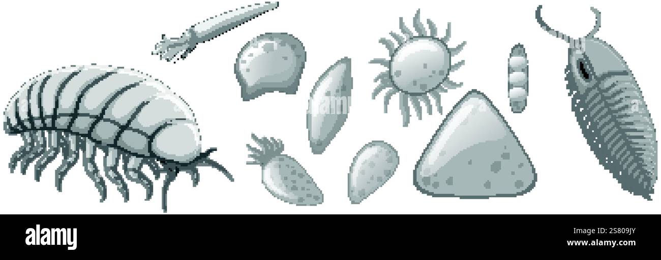Illustration of diverse microscopic marine organisms Stock Vector Image ...