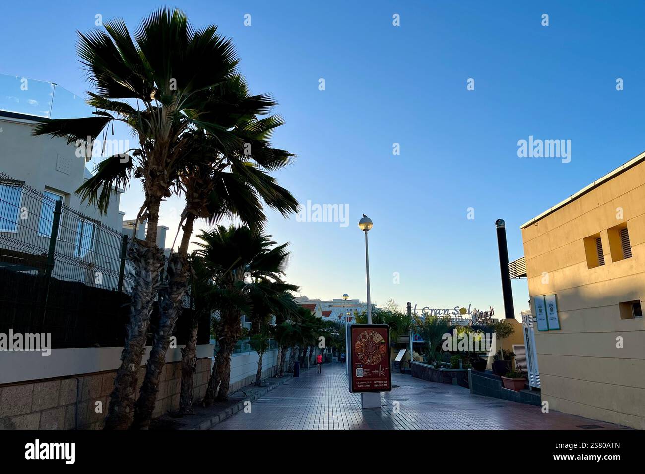 Palm tree lined promenade costa adeje hi-res stock photography and ...