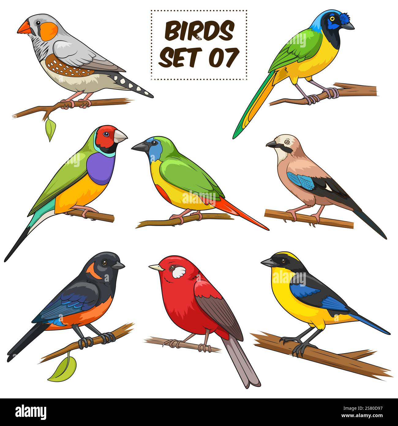Bird set cartoon colorful vector illustration Stock Vector Image & Art ...