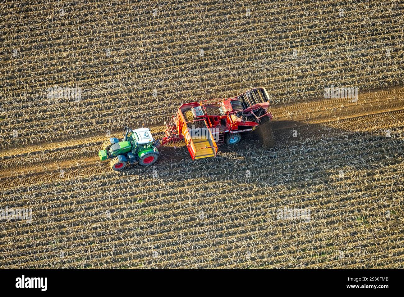 Aerial view, agricultural field work with tractor, potato harvest ...