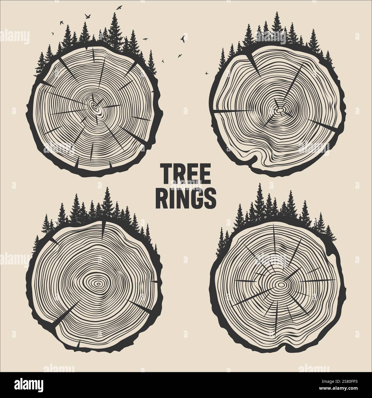 Round tree trunk cuts with trees, forest and birds. Sawn pine or oak ...