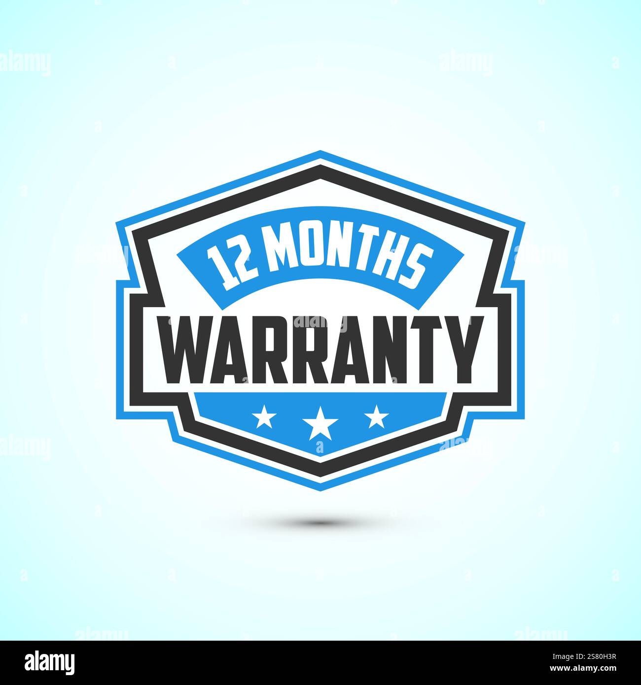 Advertising 12 months warranty emblem for label, icon, logo, badge ...