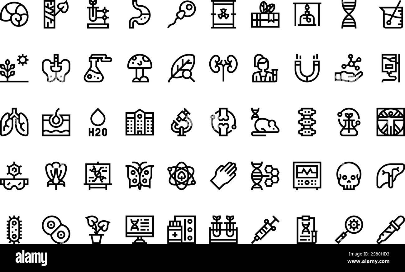 High-Quality Vector Icons Collection with Editable Stroke. Ideal for ...