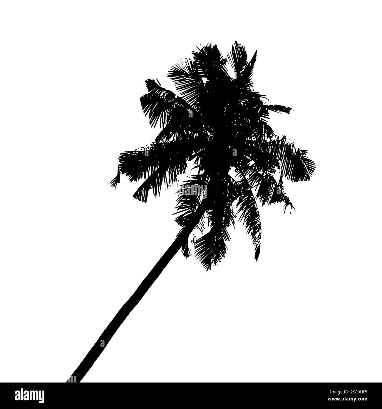 Isolated leaning palm tree silhouette. Black graphics isolated on white ...