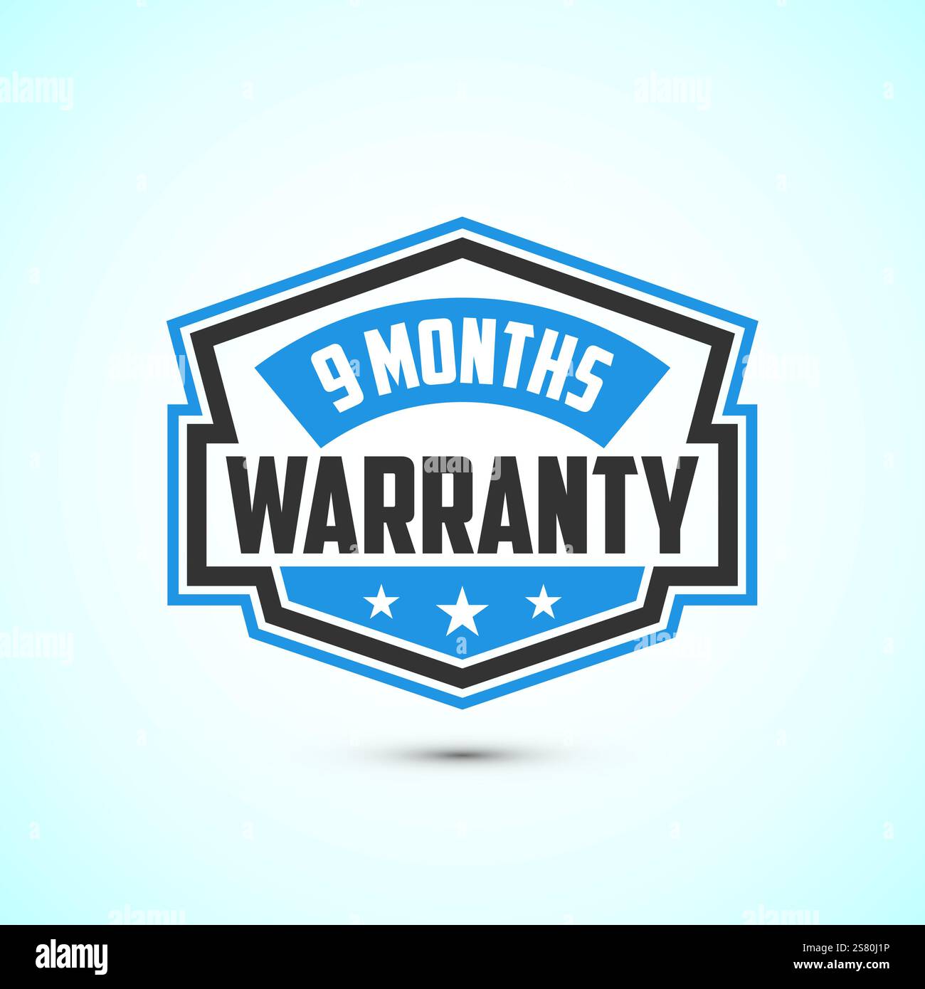 Advertising 9 months warranty emblem for label, icon, logo, badge ...