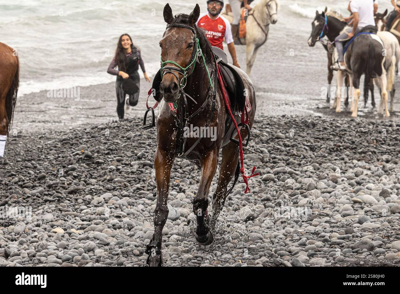 Playa de Enramada, La Caleta, Costa Adeje, Tenerife, Canary Islands, Spain. 20th Jan, 2025 ...