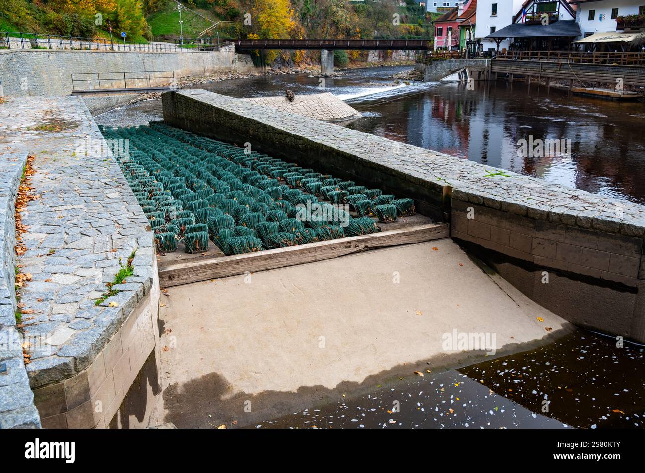 Fish migration brushes on the weir, designed to help fish swim upstream ...