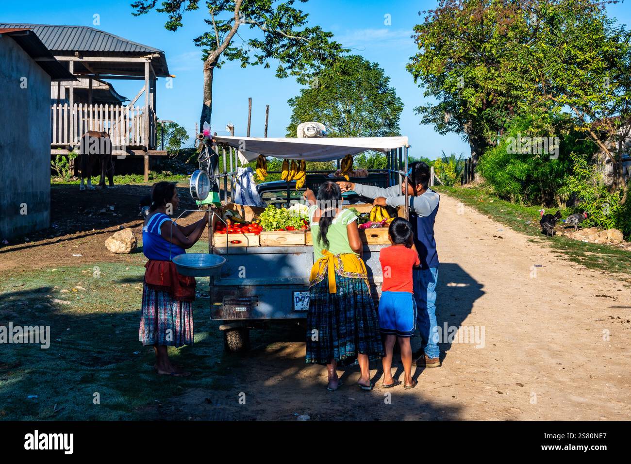 Boy in back pickup truck hi-res stock photography and images - Alamy