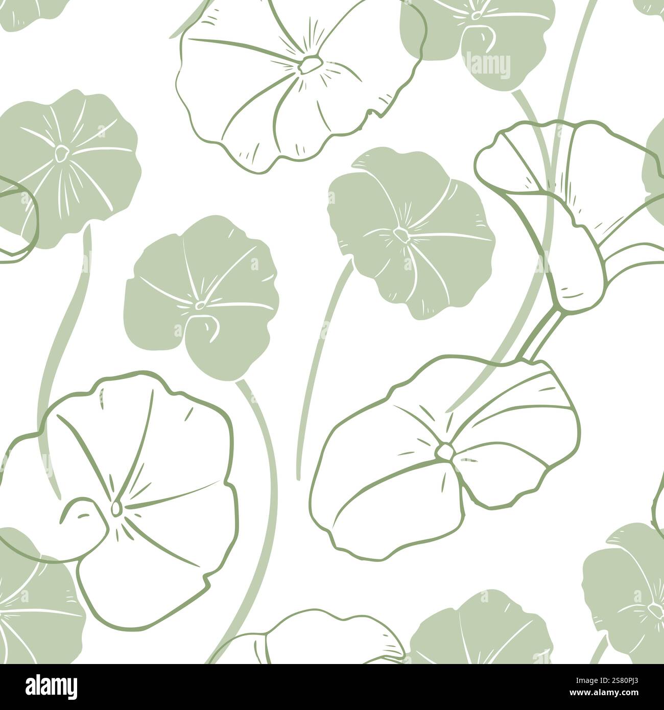 Centella asiatica rounded leaves on repeated background. Greenery ...