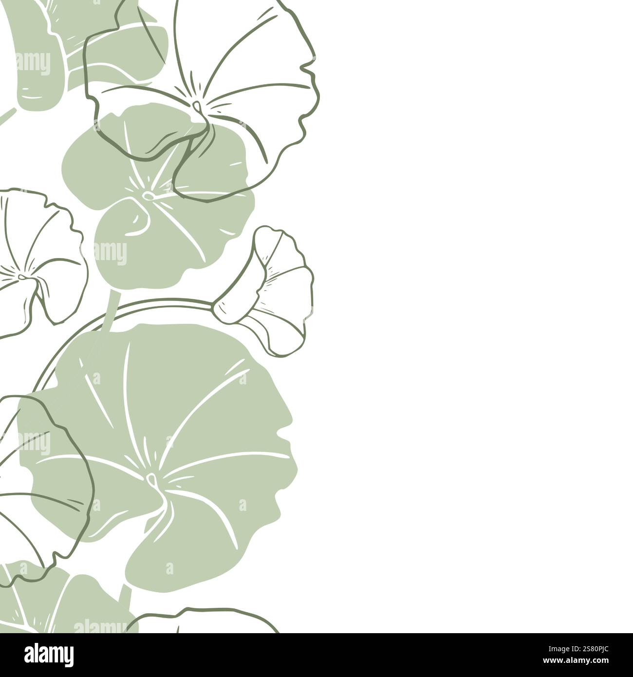 Centella asiatica silhouette in soft green tones on botanical vector ...