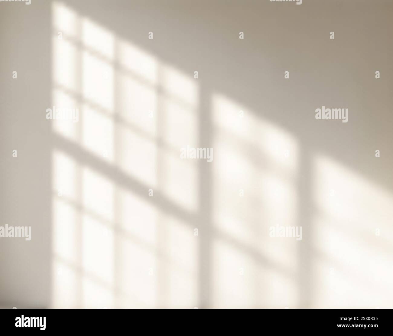 Soft Window Light and Plant Shadow Overlay for Minimalistic Branding ...