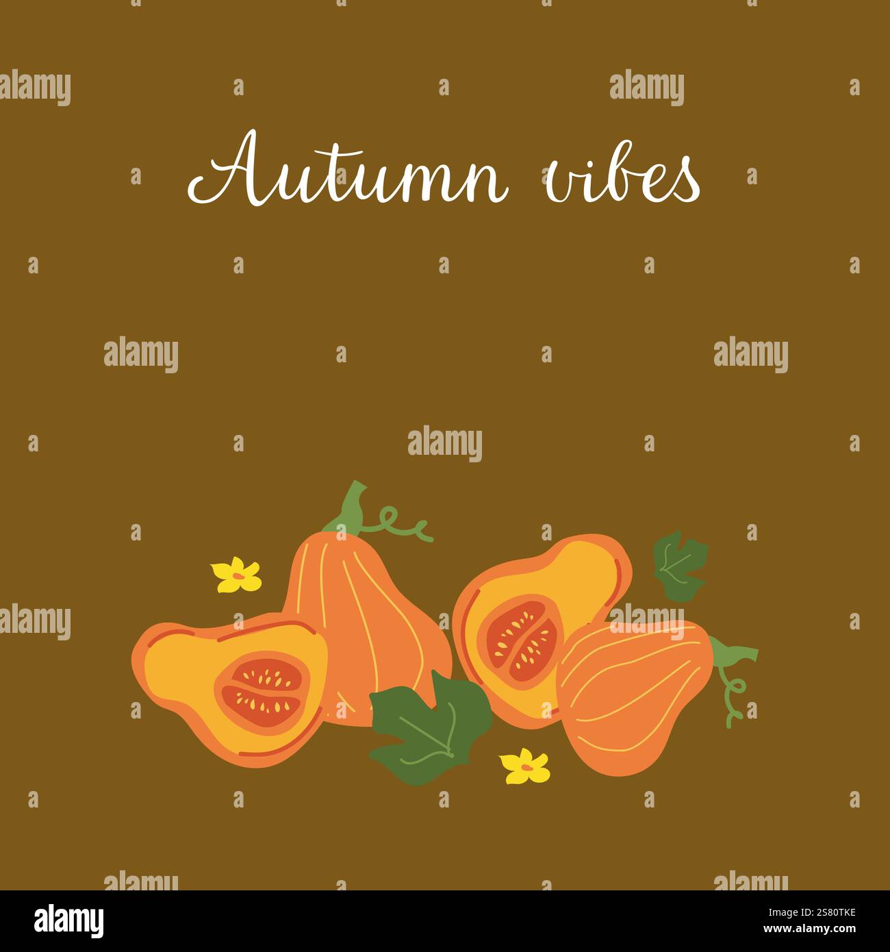 Autumn harvest squash on Stock Vector Images - Alamy