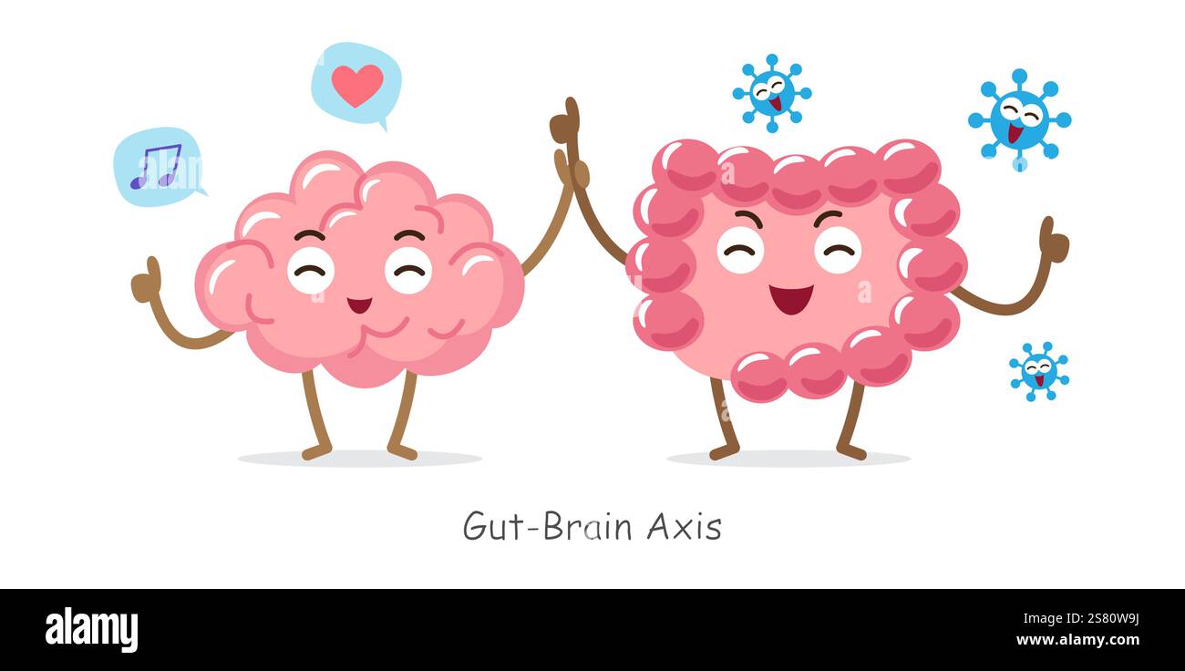 Gut-brain axis . Cartoon character of human brain and intestine ...
