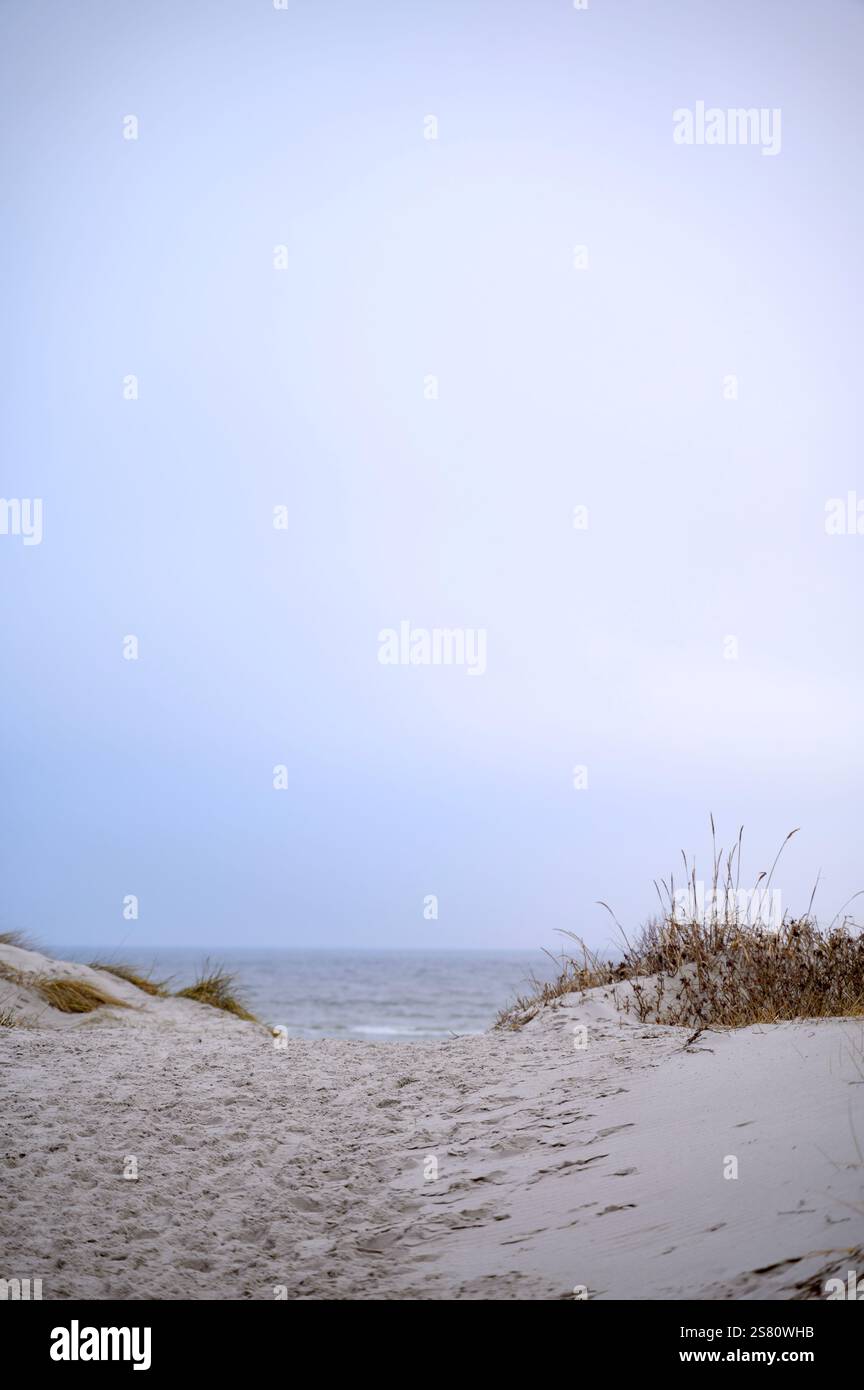 A beach with sand and a sea. Lomma, Sweden, 2025 Stock Photo - Alamy