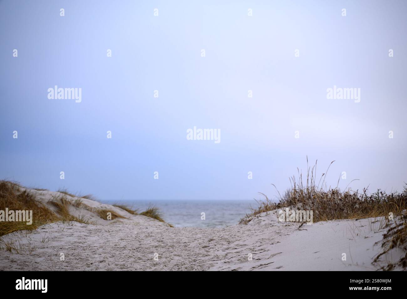 A beach with sand and a sea. Lomma, Sweden, 2025 Stock Photo - Alamy