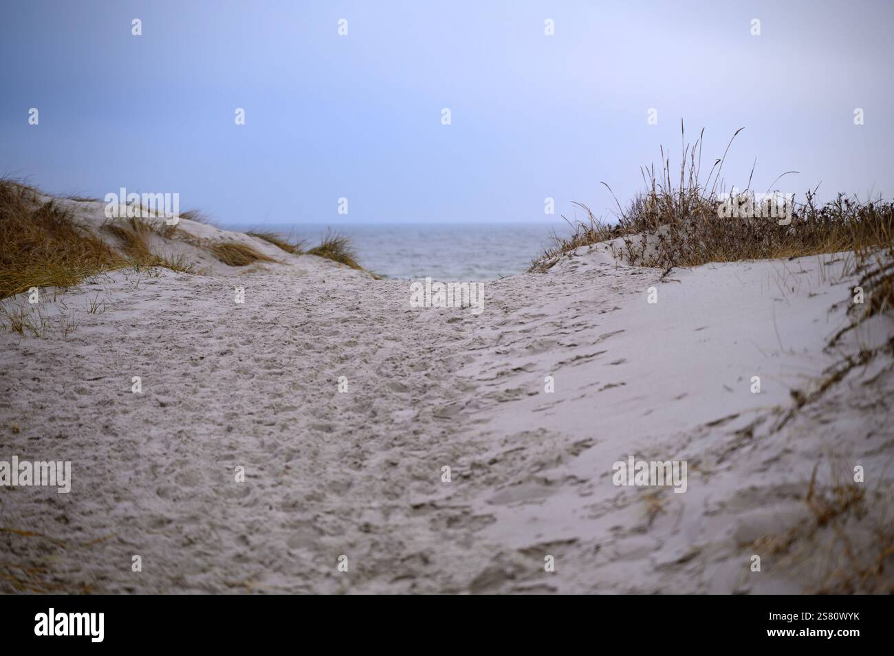 A beach with sand and a sea. Lomma, Sweden, 2025 Stock Photo - Alamy