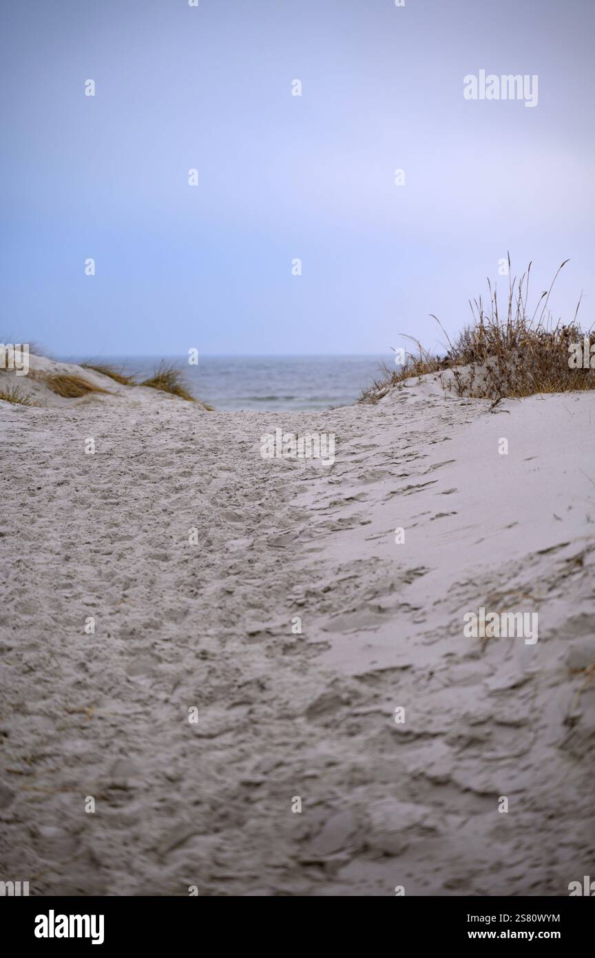 A beach with sand and a sea. Lomma, Sweden, 2025 Stock Photo - Alamy