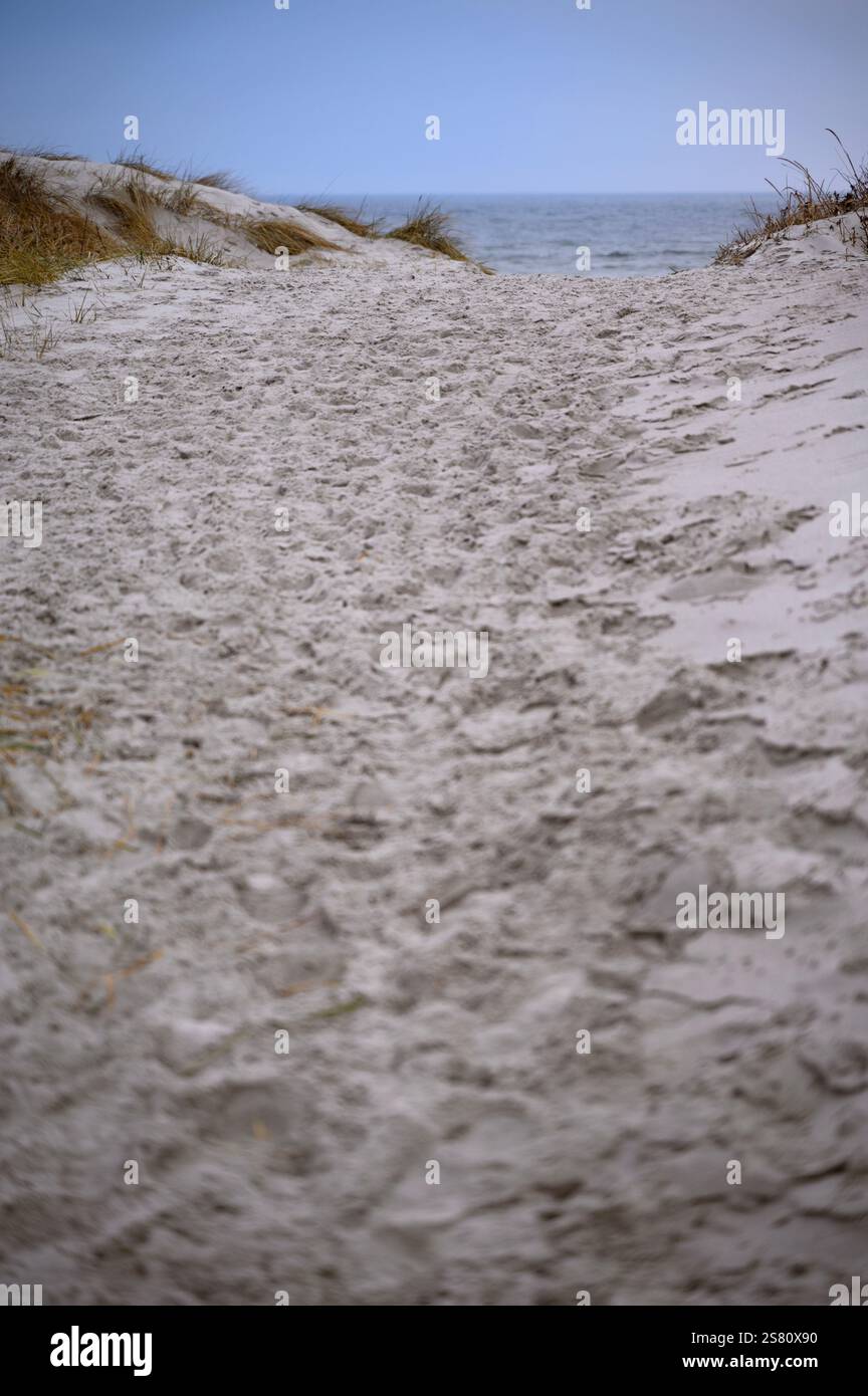 A beach with sand and a sea. Lomma, Sweden, 2025 Stock Photo - Alamy