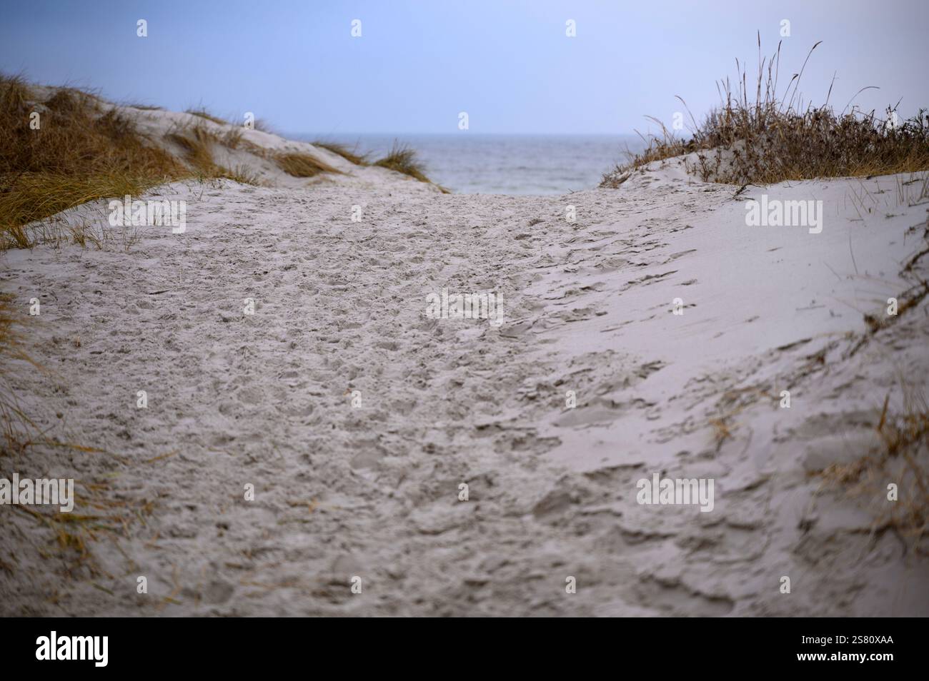 A beach with sand and a sea. Lomma, Sweden, 2025 Stock Photo - Alamy