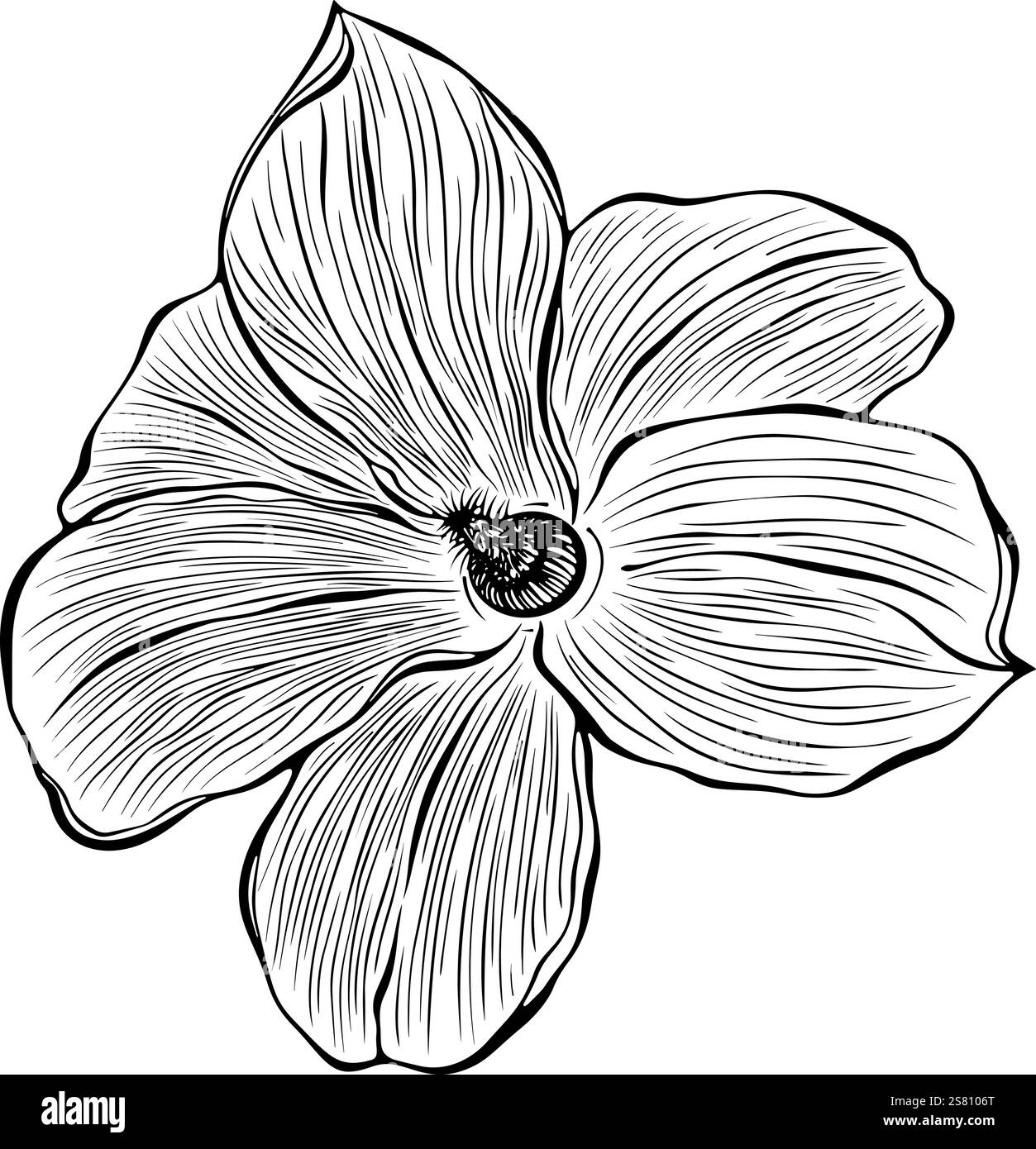 Magnolia tree blooming flower Stock Vector Images - Alamy