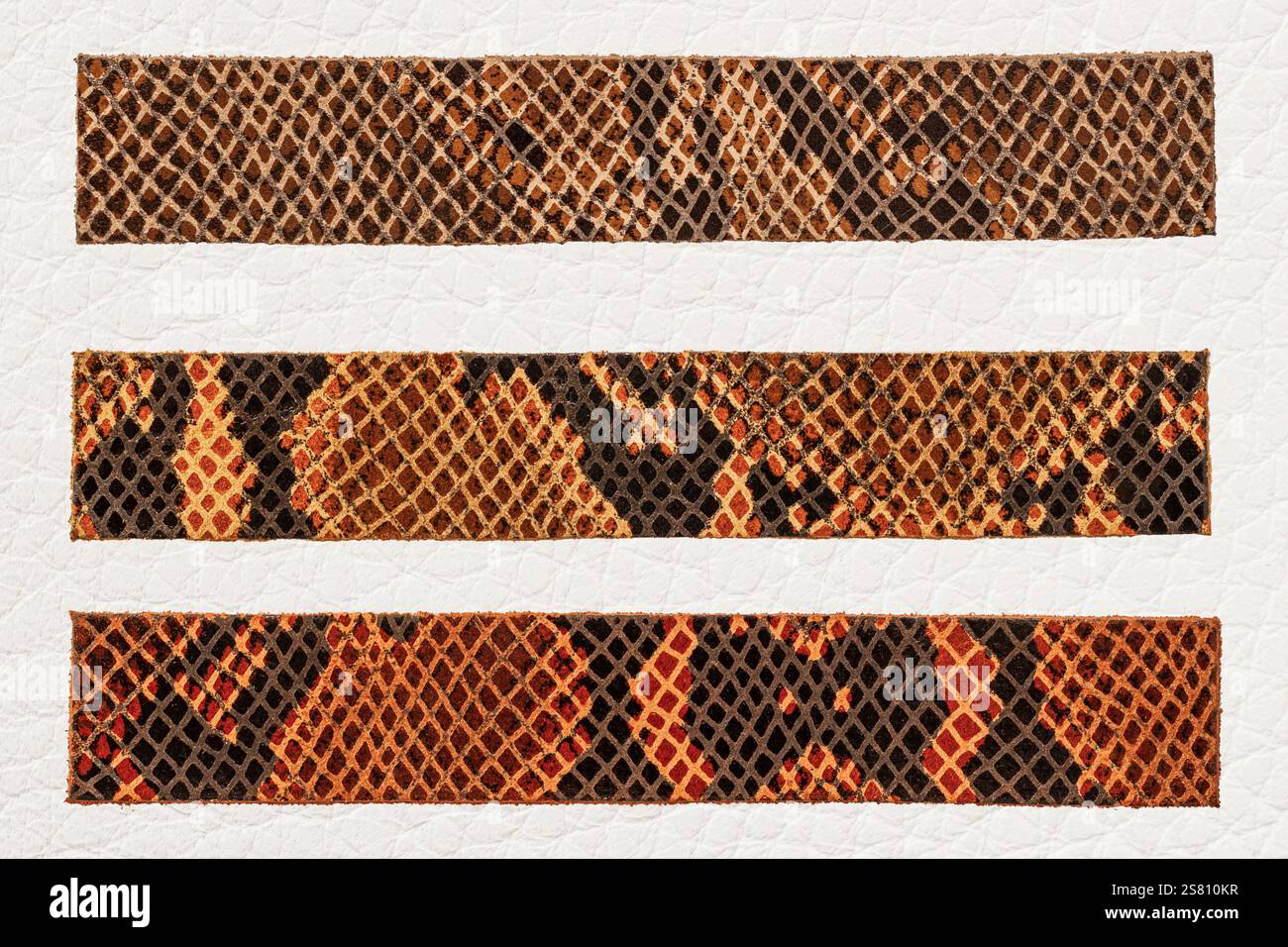 Close-up of snake skin texture pattern on leather strips. Design ...