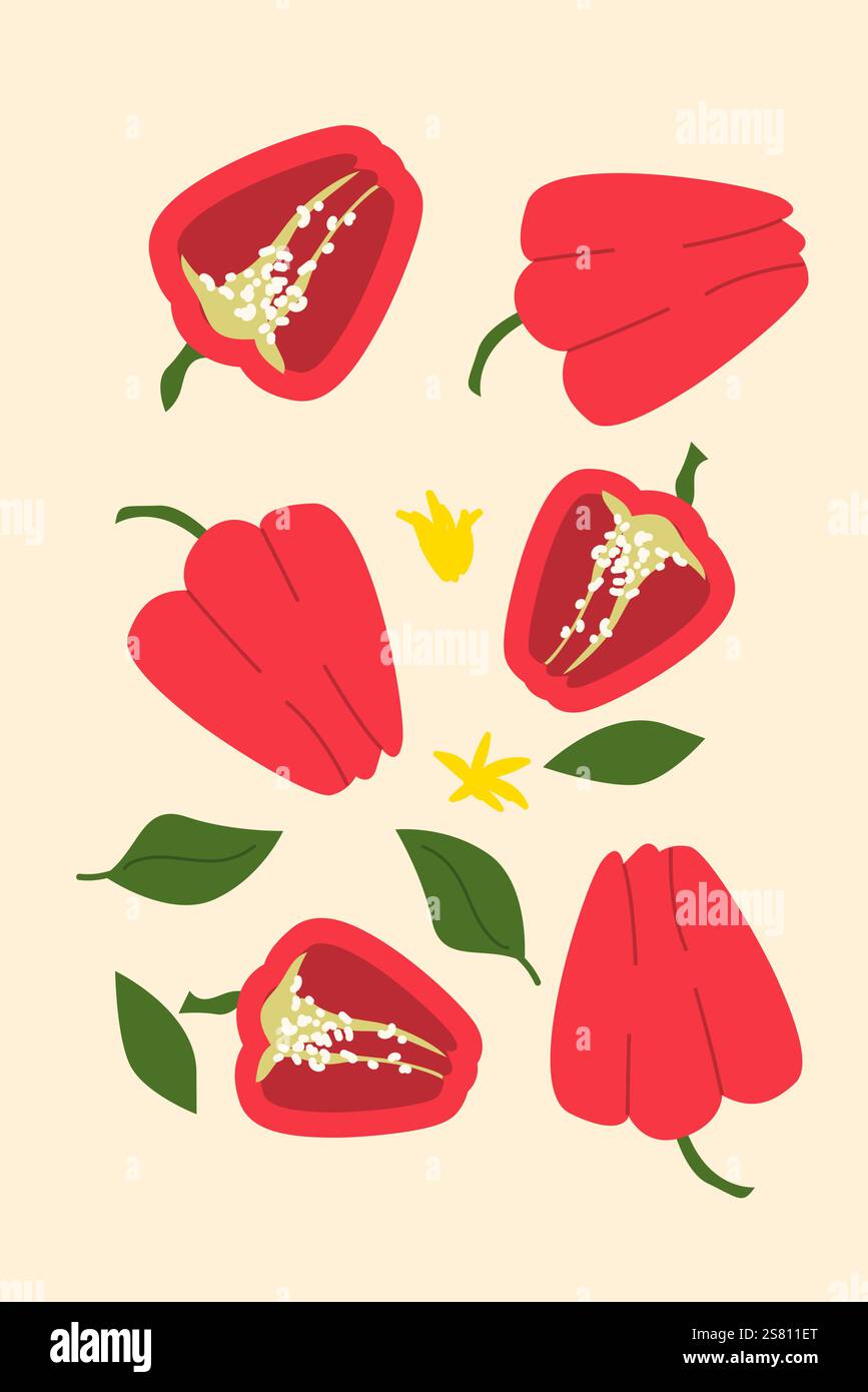 Red bell peppers with seeds and leaves on beige background Stock Vector ...