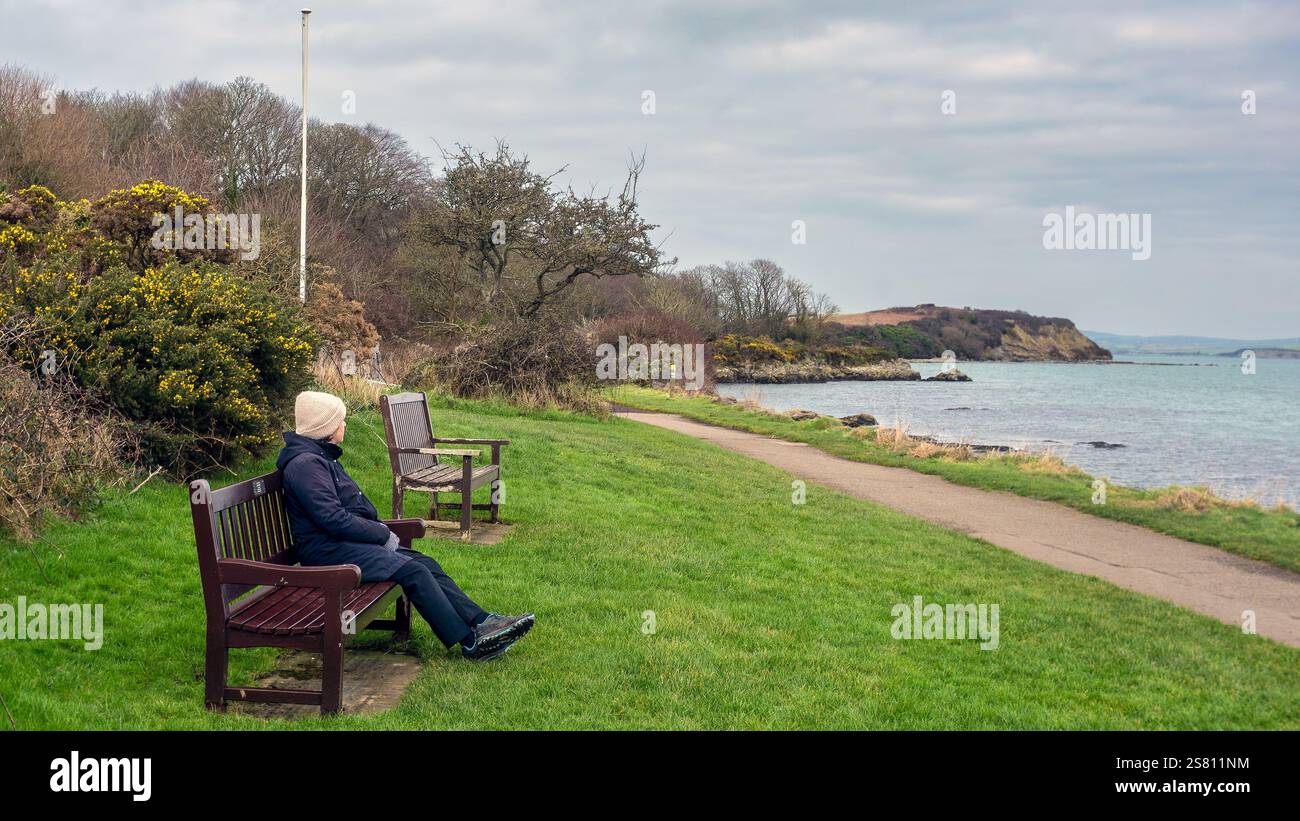 Bench at Penrhos Coastal Park, Holyhead Stock Photo - Alamy