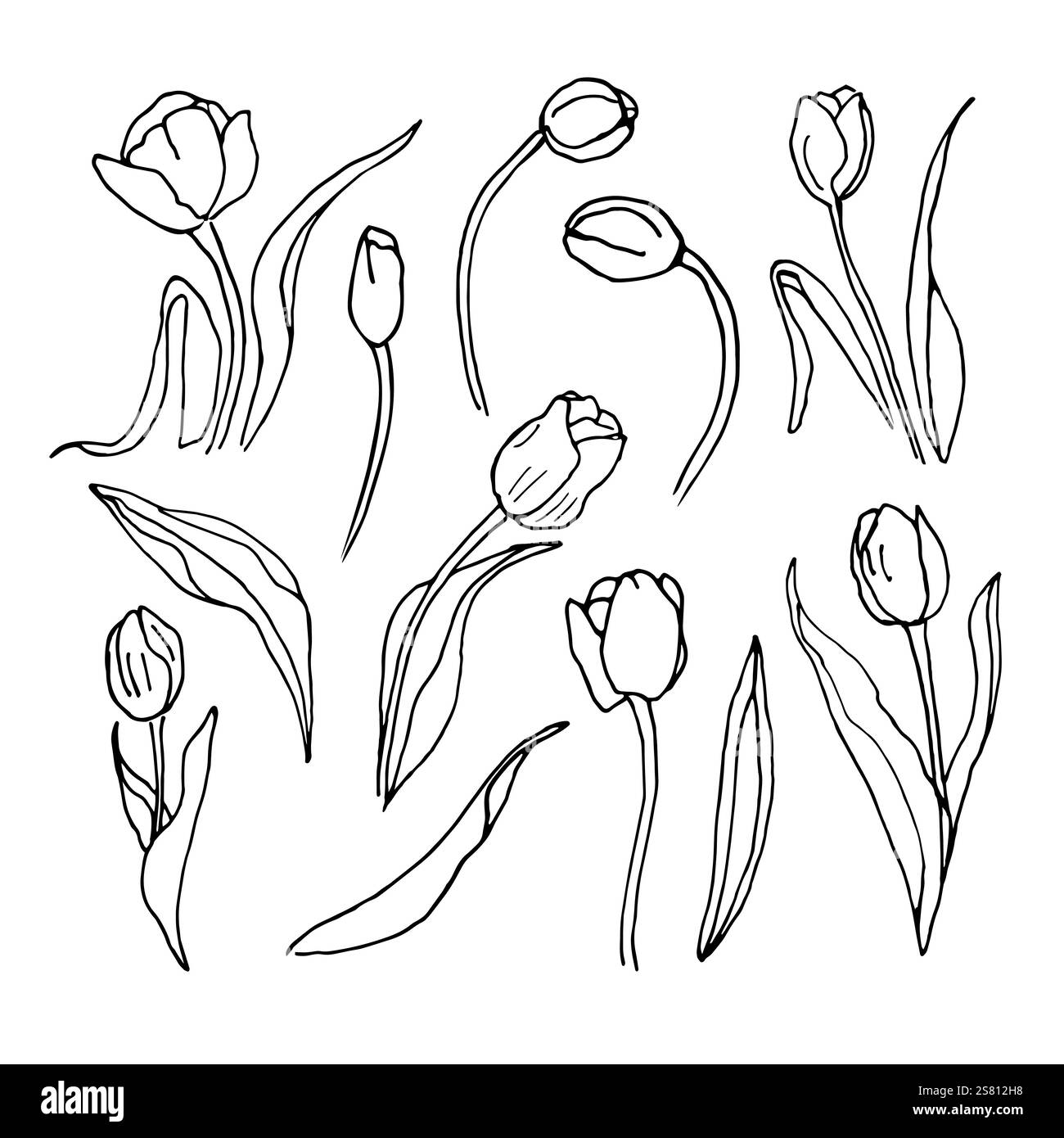 Set wedding celebration cards Black and White Stock Photos & Images - Alamy