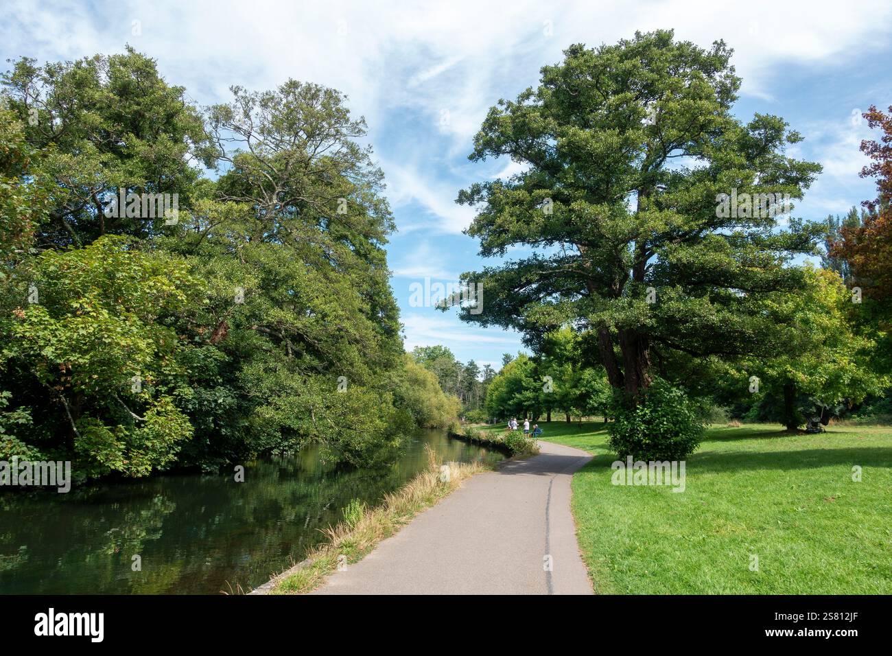 Beautiful Riverside walk surrounded by lush green trees at Riverside ...