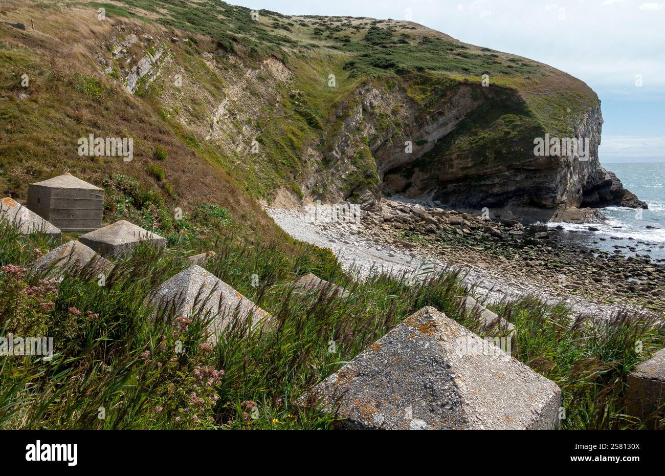 Concrete anti-tank defences known as Dragon's Teeth at Pondfield Cove ...