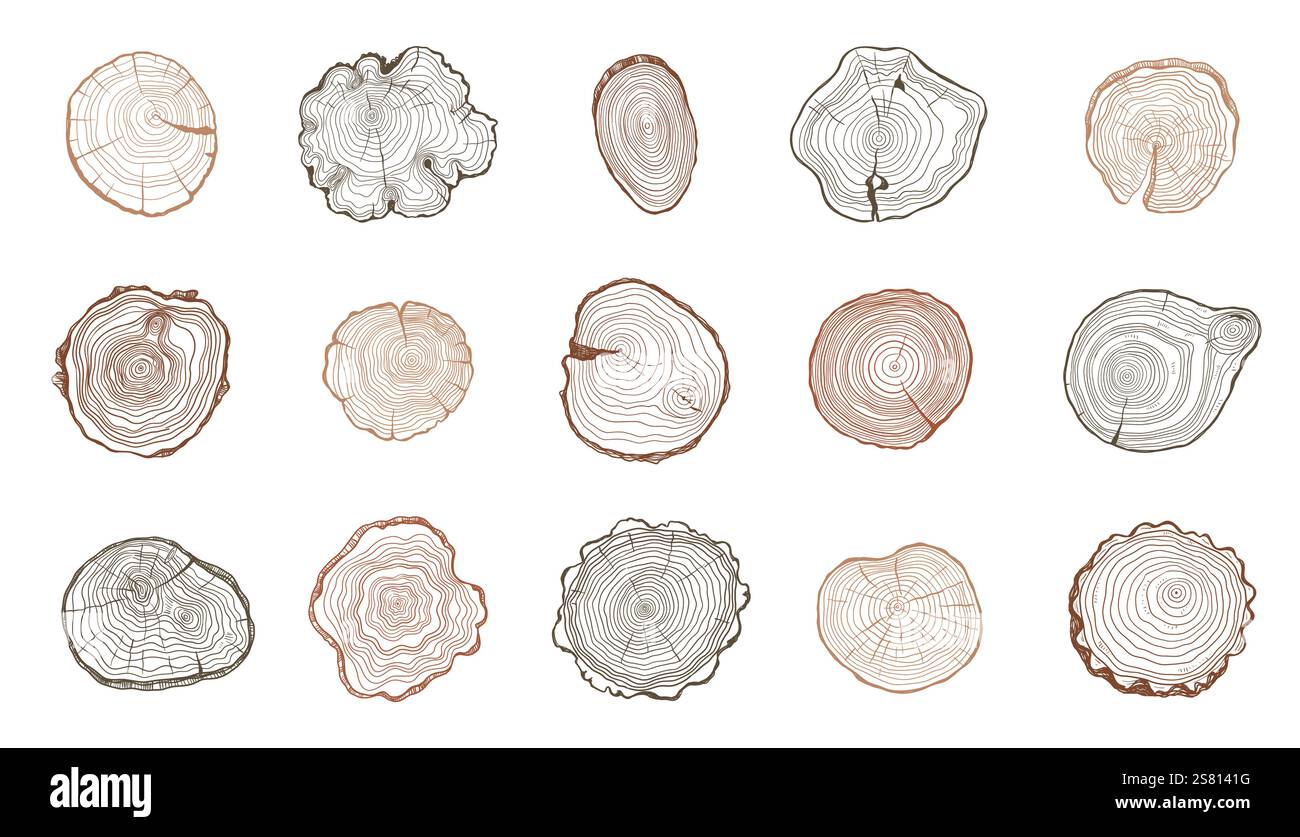 Tree rings. Wooden log trunk slices with annual growth circles, rough ...