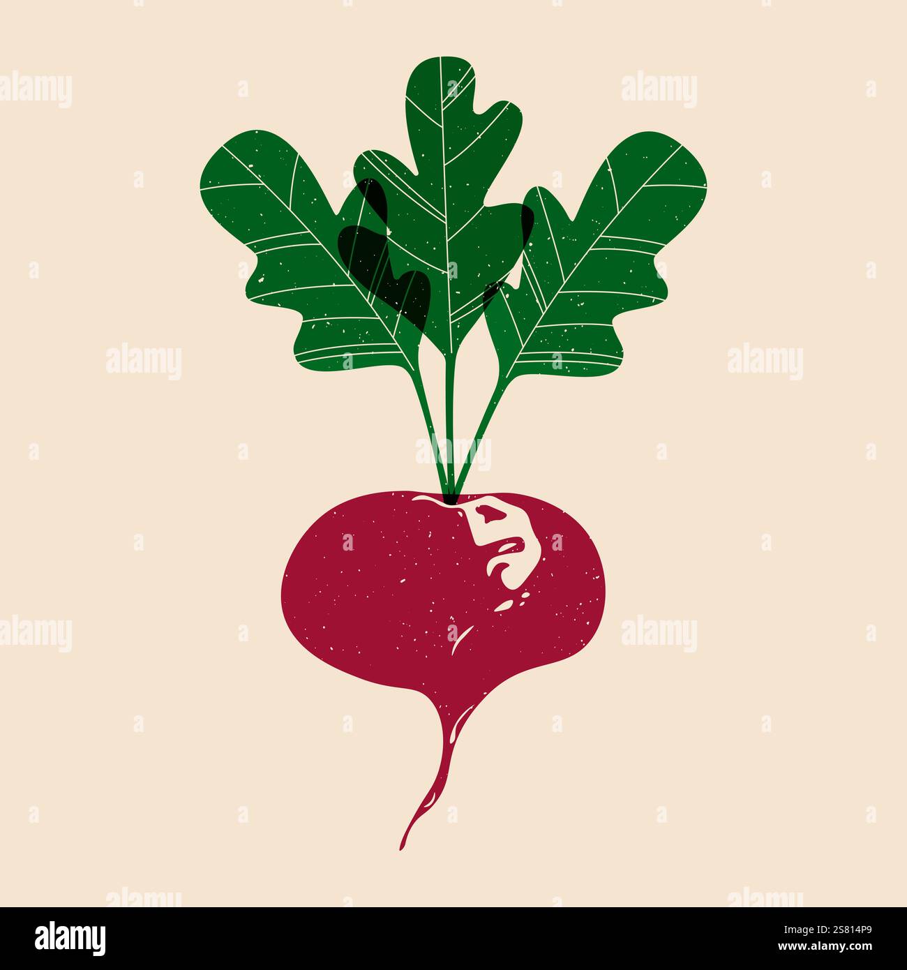 Fresh beet. Cartoon ripe beetroot with green leaves risograph style ...