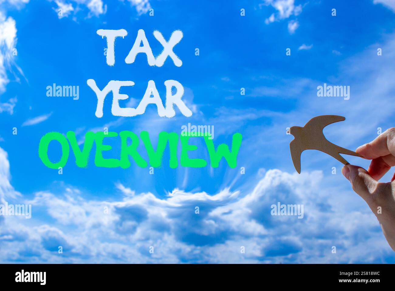 Tax year overview symbol. Concept words Tax year overview on beautiful ...