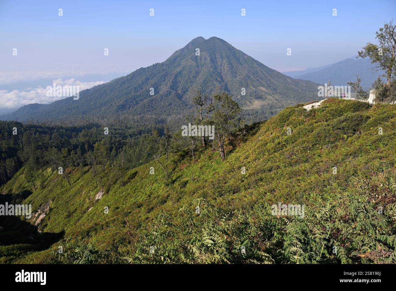 Kawah Ijen volcano,East Java,Indonesia,Asia Stock Photo - Alamy