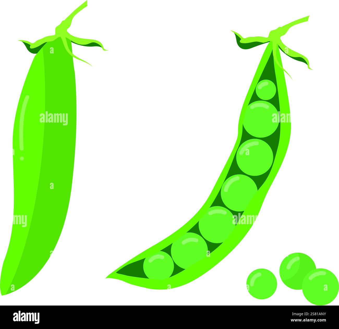 Seed pod cut open Stock Vector Images - Alamy
