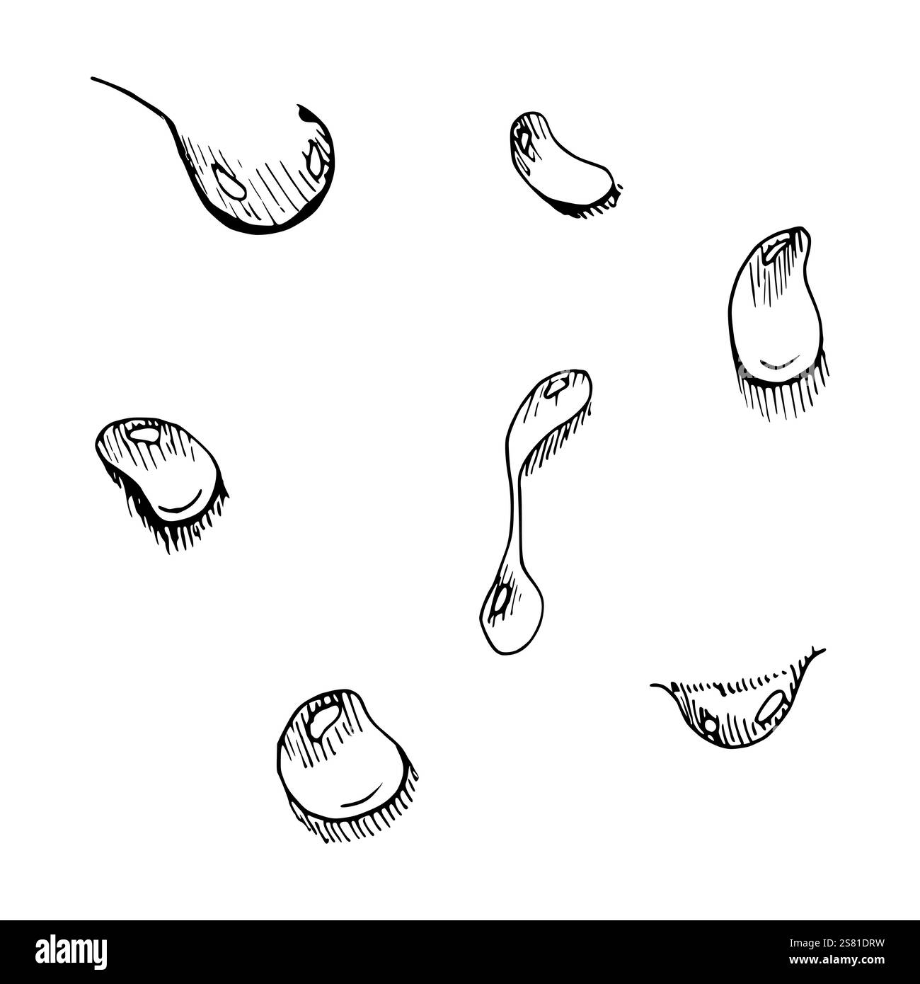 Dew drops bubbles, light and shadow. Transparent clear wet spray ...