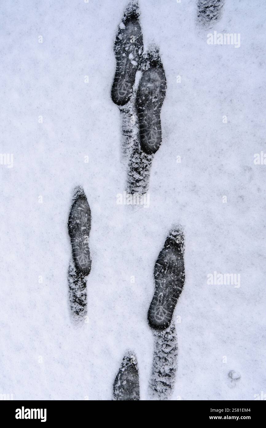 A series of footprints in the snow. Concept of movement and activity ...