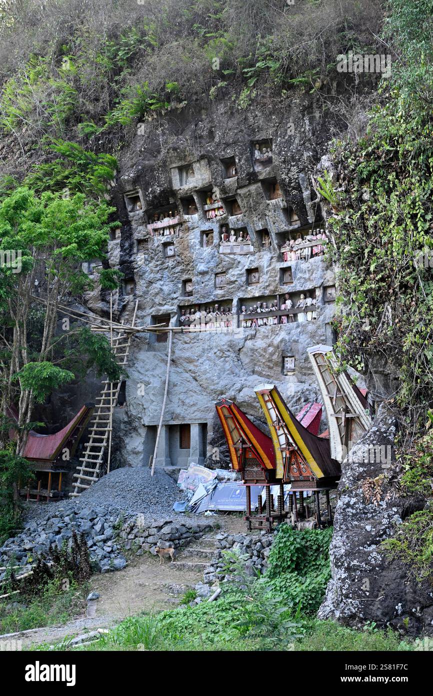 Londa, famous burial site with coffins placed in caves carved into the ...