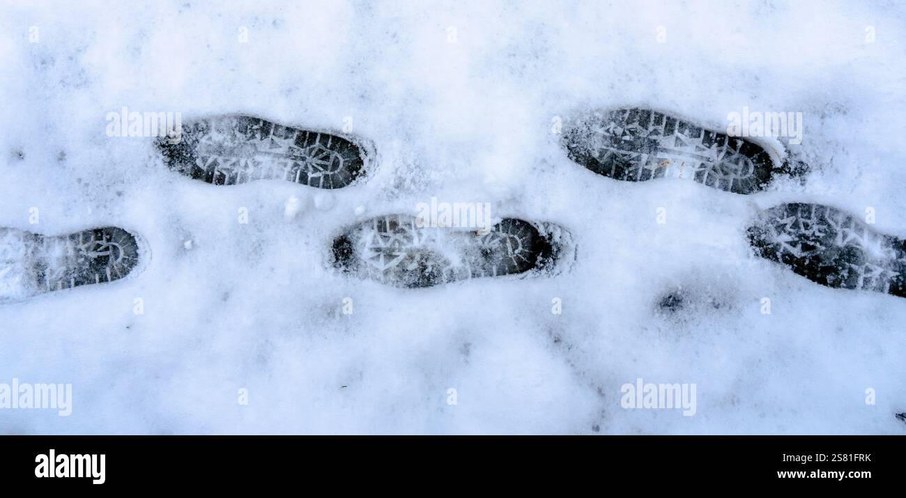 A snow covered ground with four sets of footprints. The snow is white ...