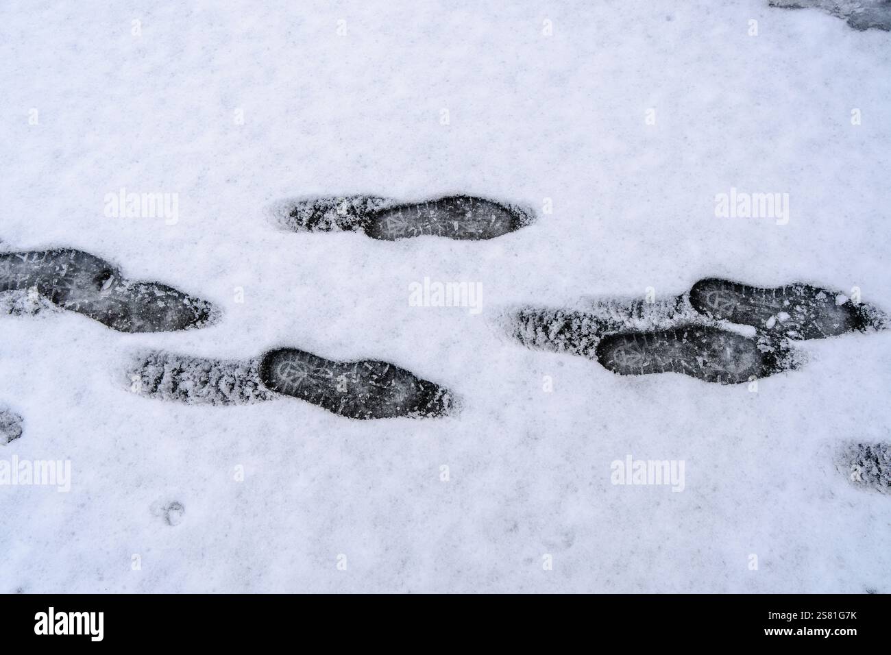 A snow covered ground with four sets of footprints. The footprints are ...