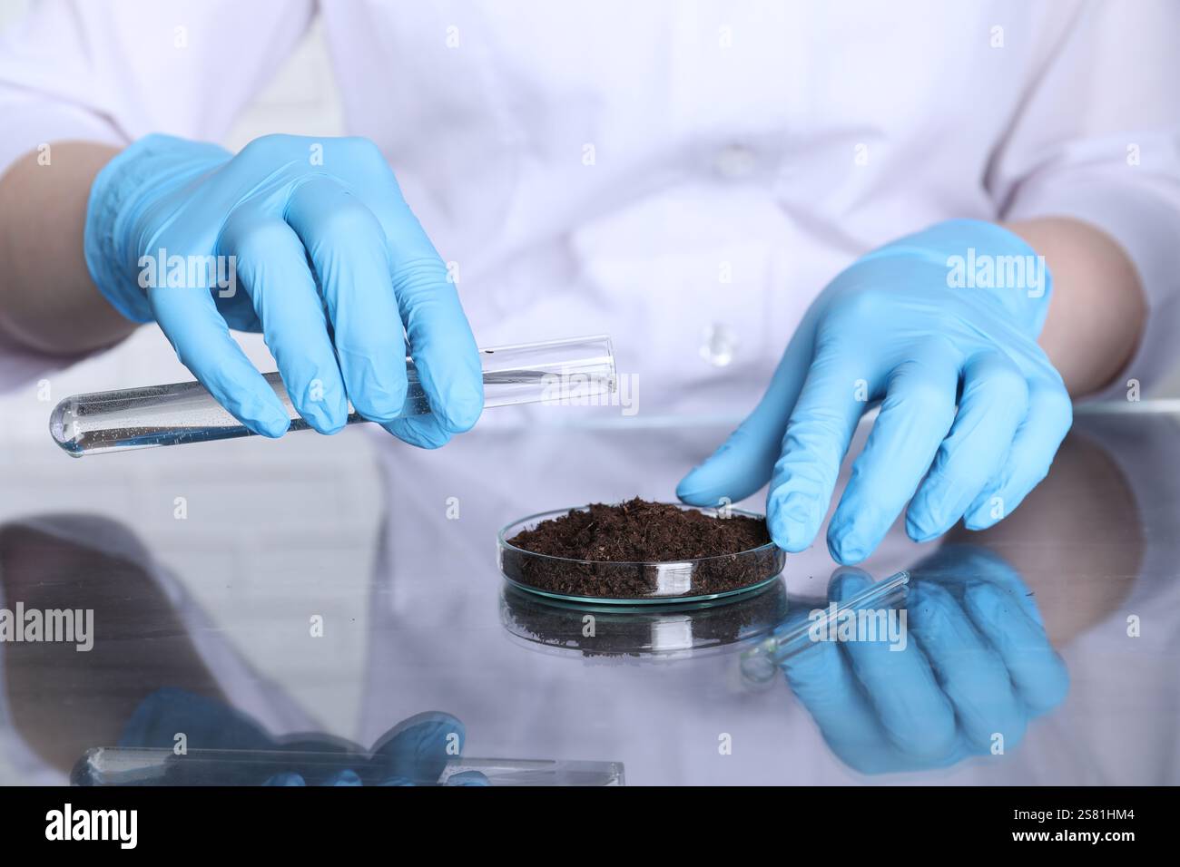Laboratory testing. Scientist pouring liquid onto soil sample at table ...