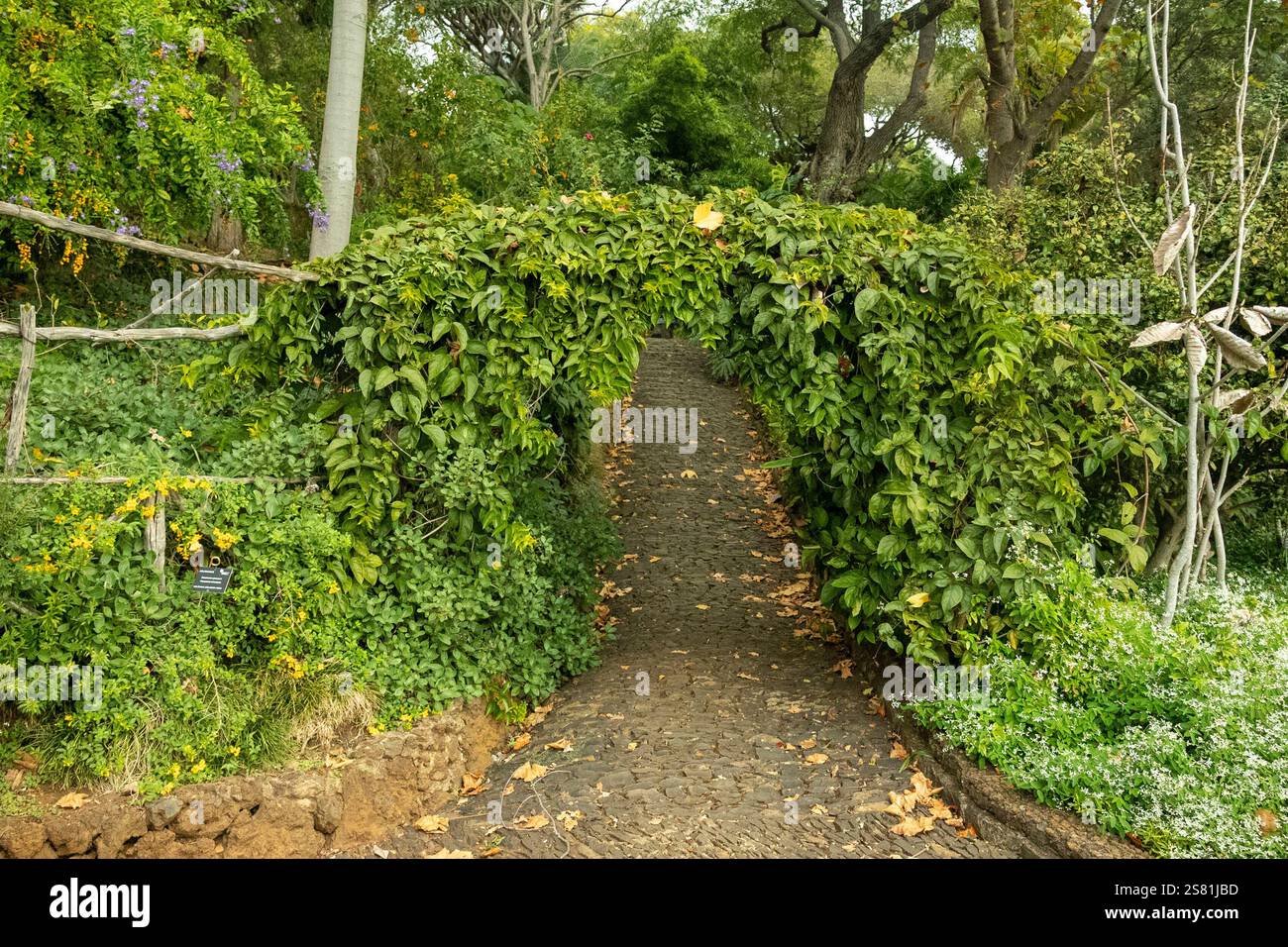 Botanical arch hi-res stock photography and images - Alamy