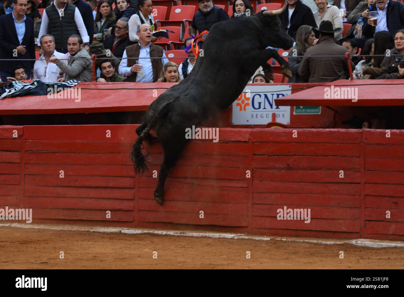 January 19, 2025, Mexico City, Ciudad de Mexico, Mexico: The fighting ...