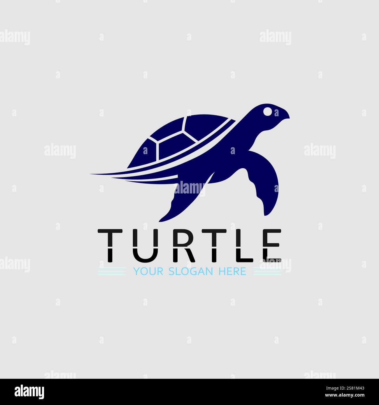 Turtle animal cartoon icon vector illustration Stock Vector Image & Art ...