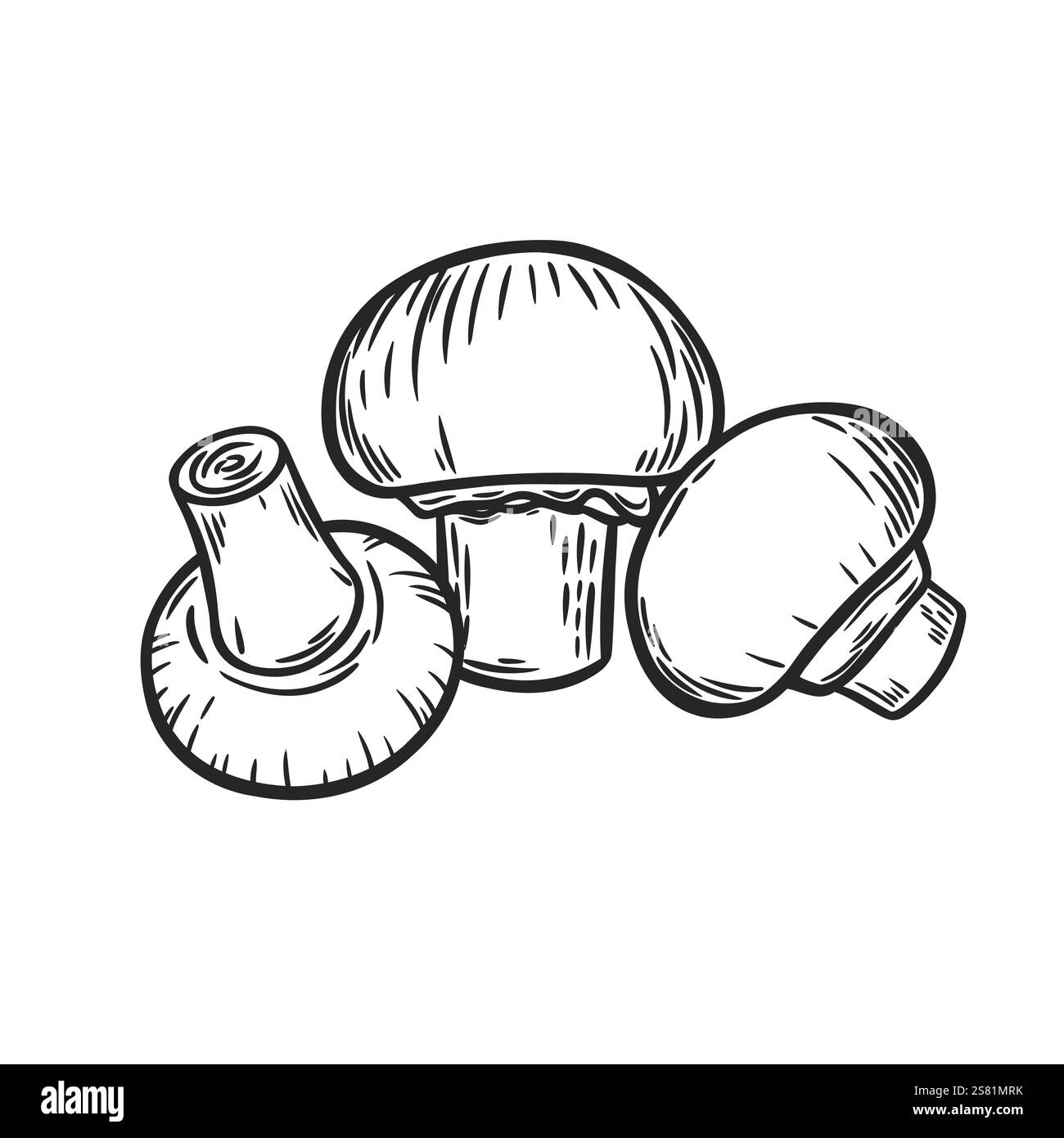 Line engrave Stock Vector Images - Alamy