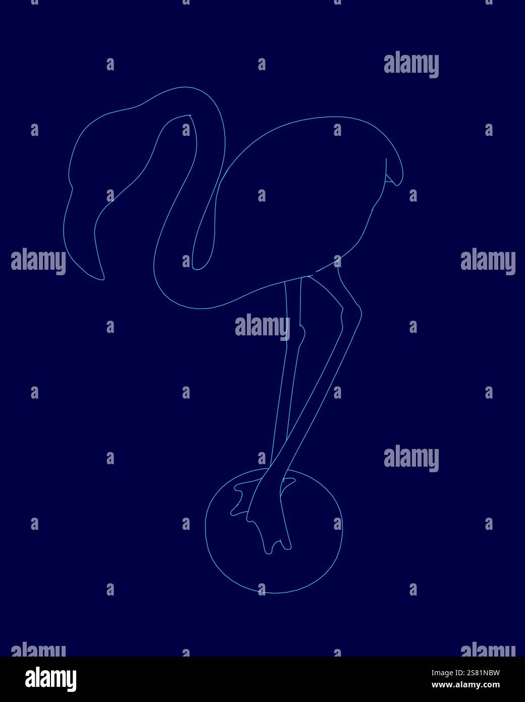 Long legs standing Stock Vector Images - Alamy