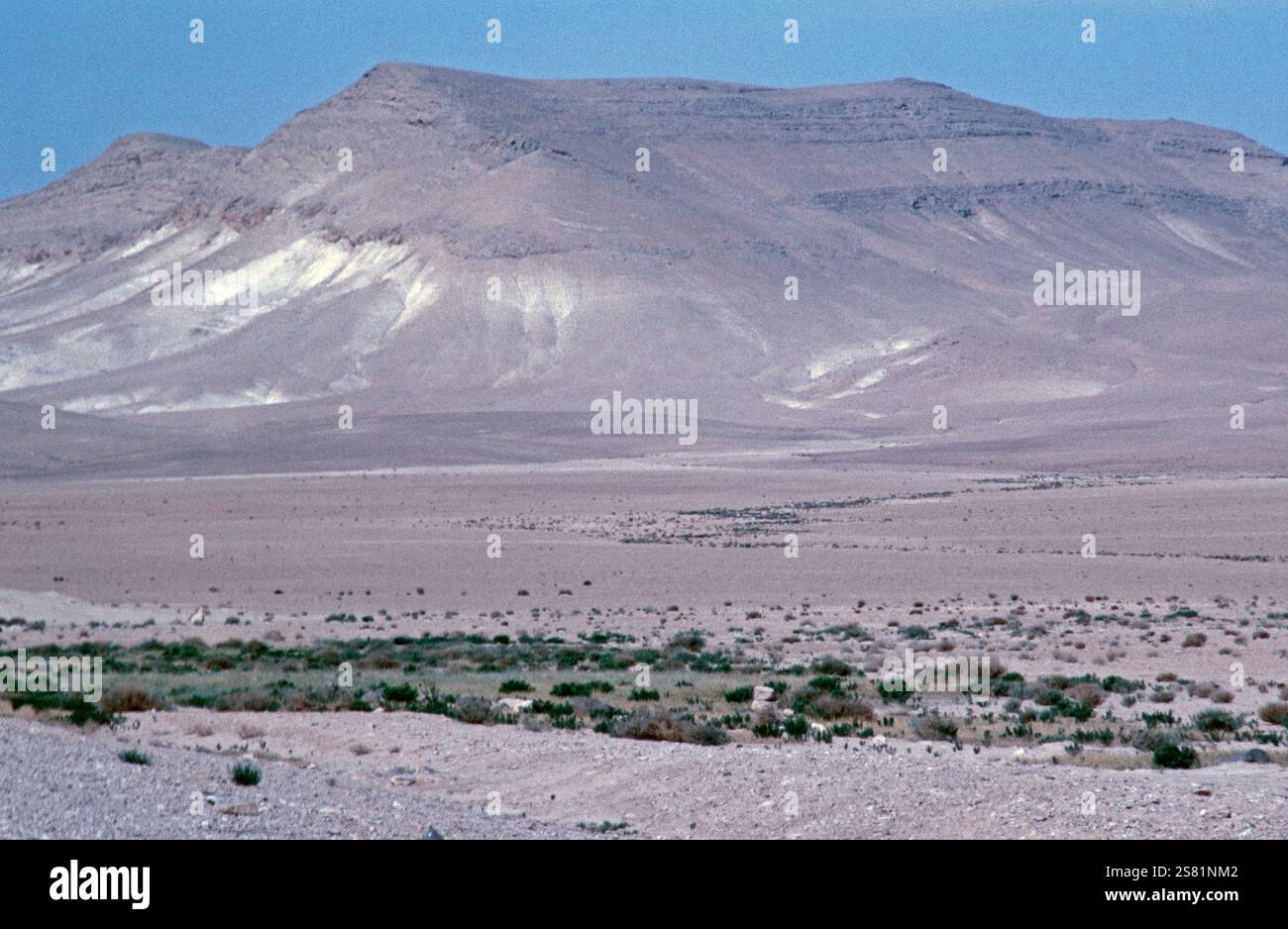 Palmyrene mountain belt hi-res stock photography and images - Alamy