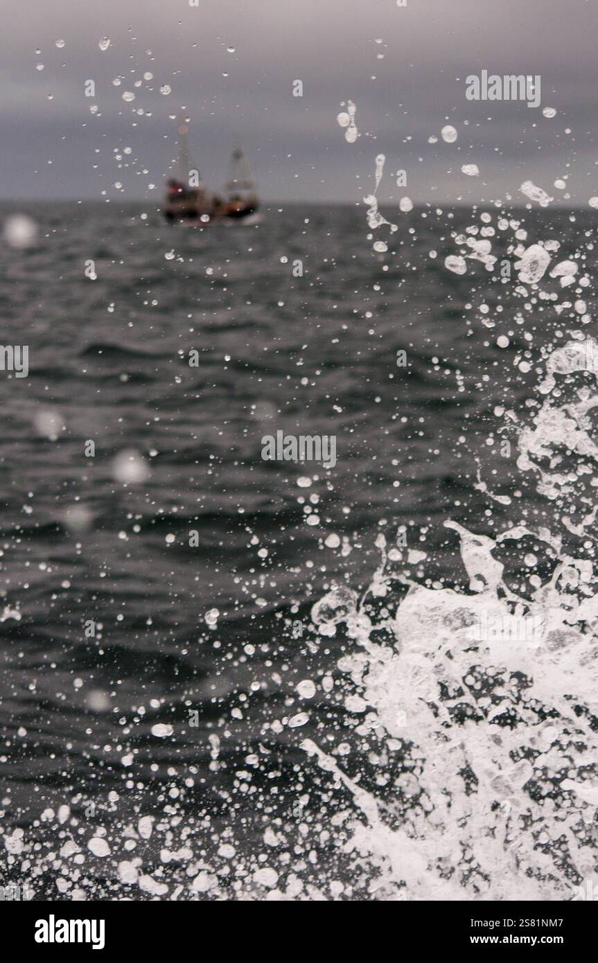 A small fishing boat is navigating choppy waters, creating a spray of ...
