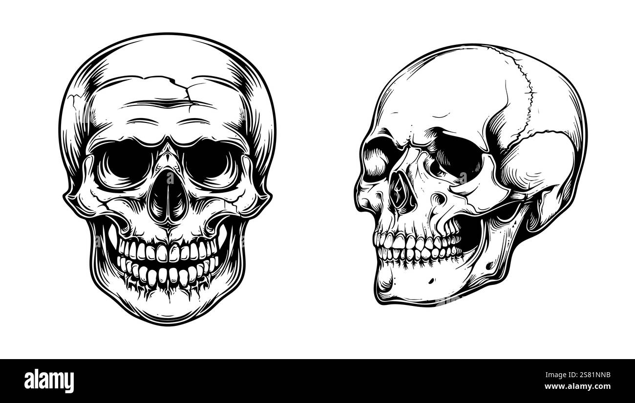 Head anatomical illustration vintage Stock Vector Images - Alamy